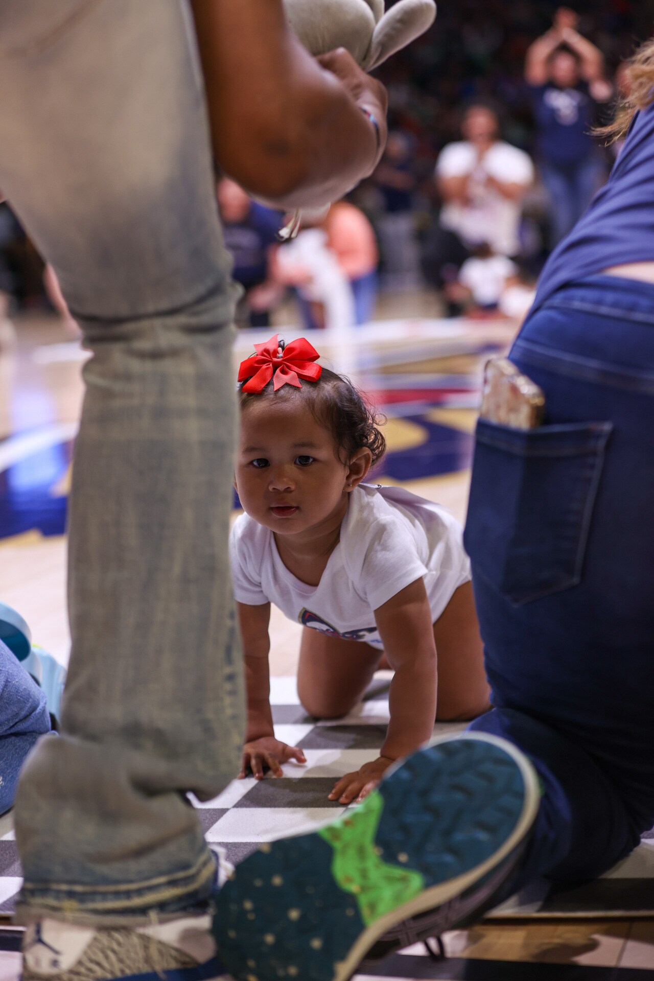 Photos: Baby Crawl Race 2024 | Pelicans vs. Celtics Entertainment 3/30 ...