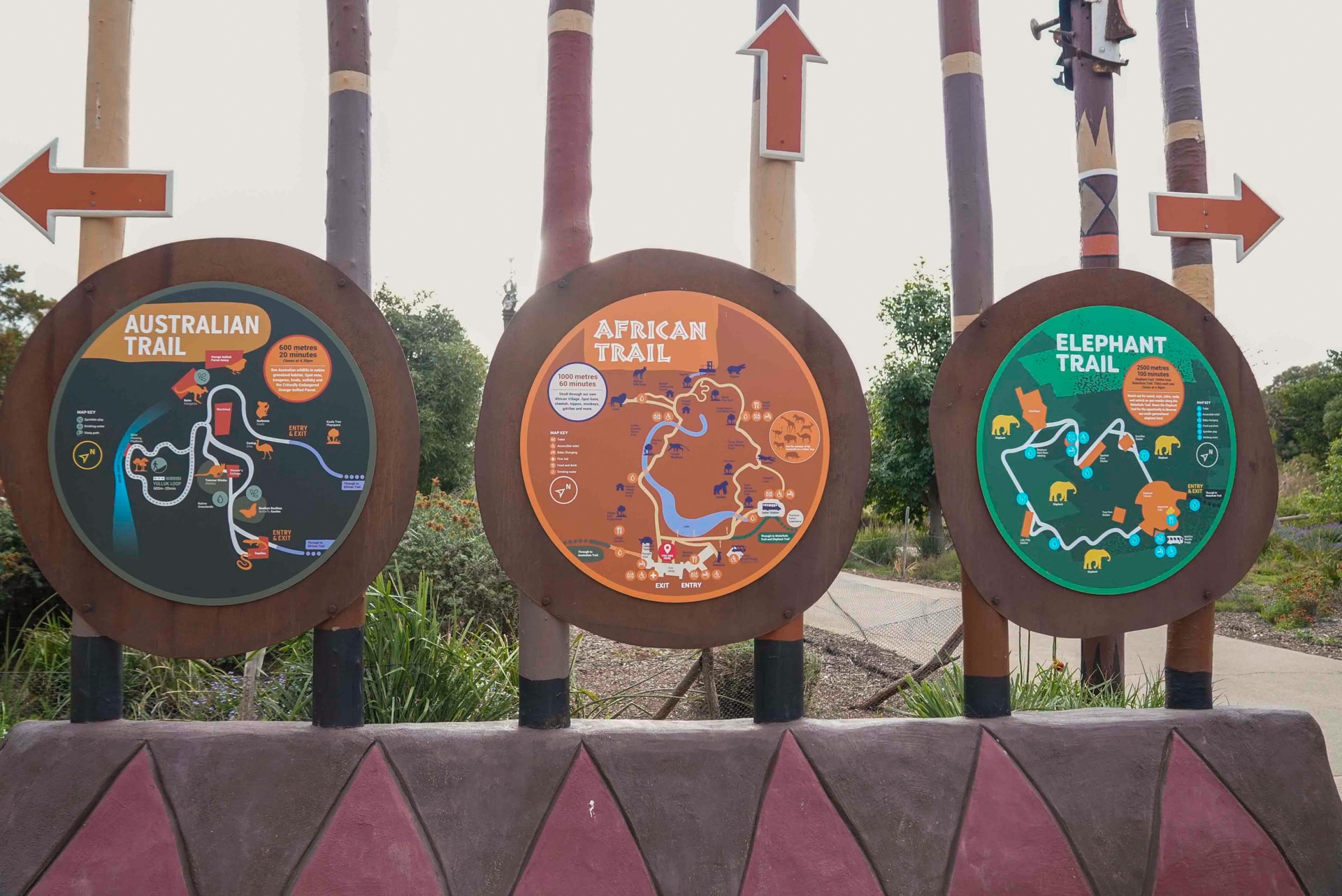 Photos: Pelicans visit Werribee Open Range Zoo | NBA x NBL Melbourne ...
