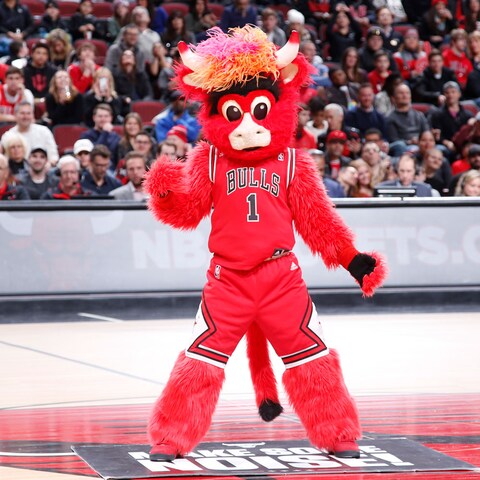 Chicago Team Mascots Bulldogs New Mascot “Fizzy” | Mount Brydges