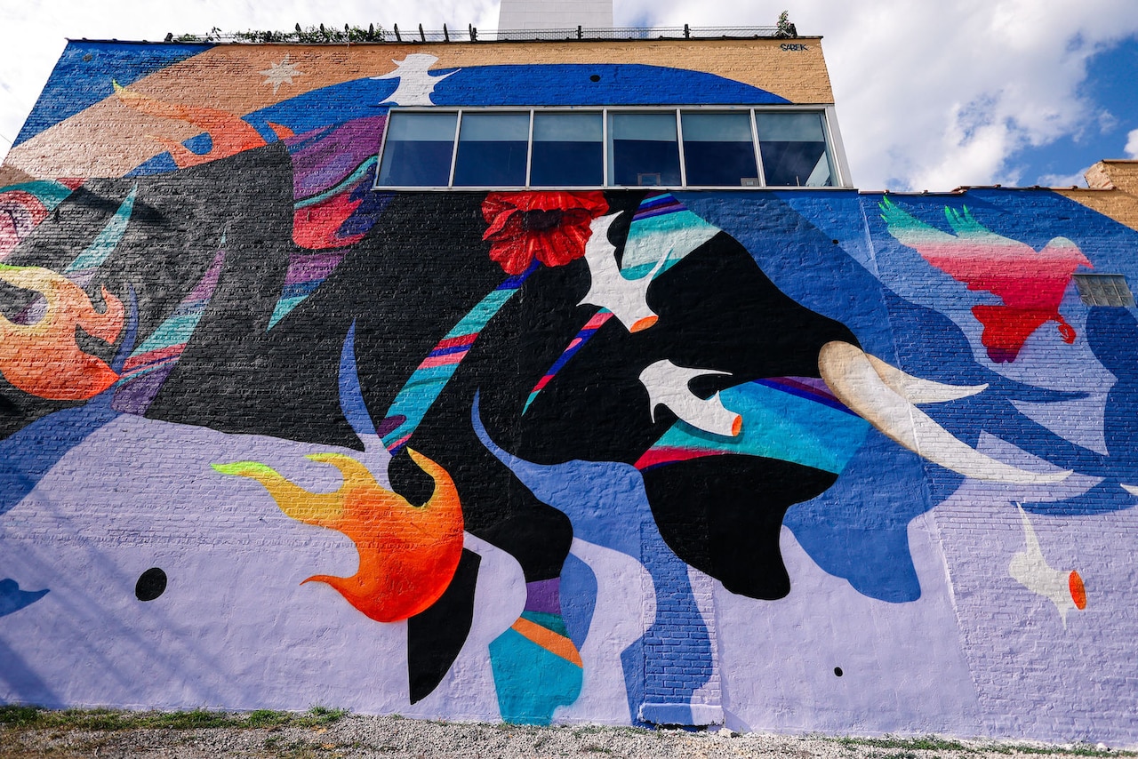 Bulls All Summer: Titan Walls Photo Gallery | NBA.com