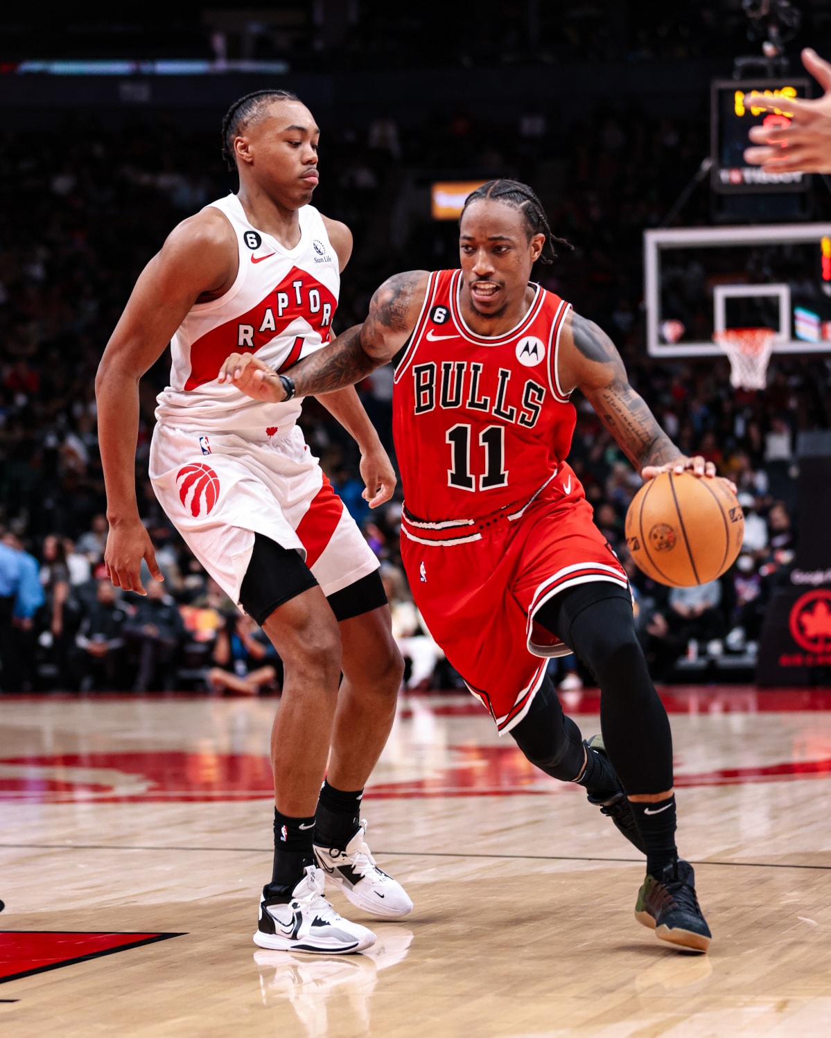 Bulls beat Raptors in preseason as Javonte Green continues to shine ...