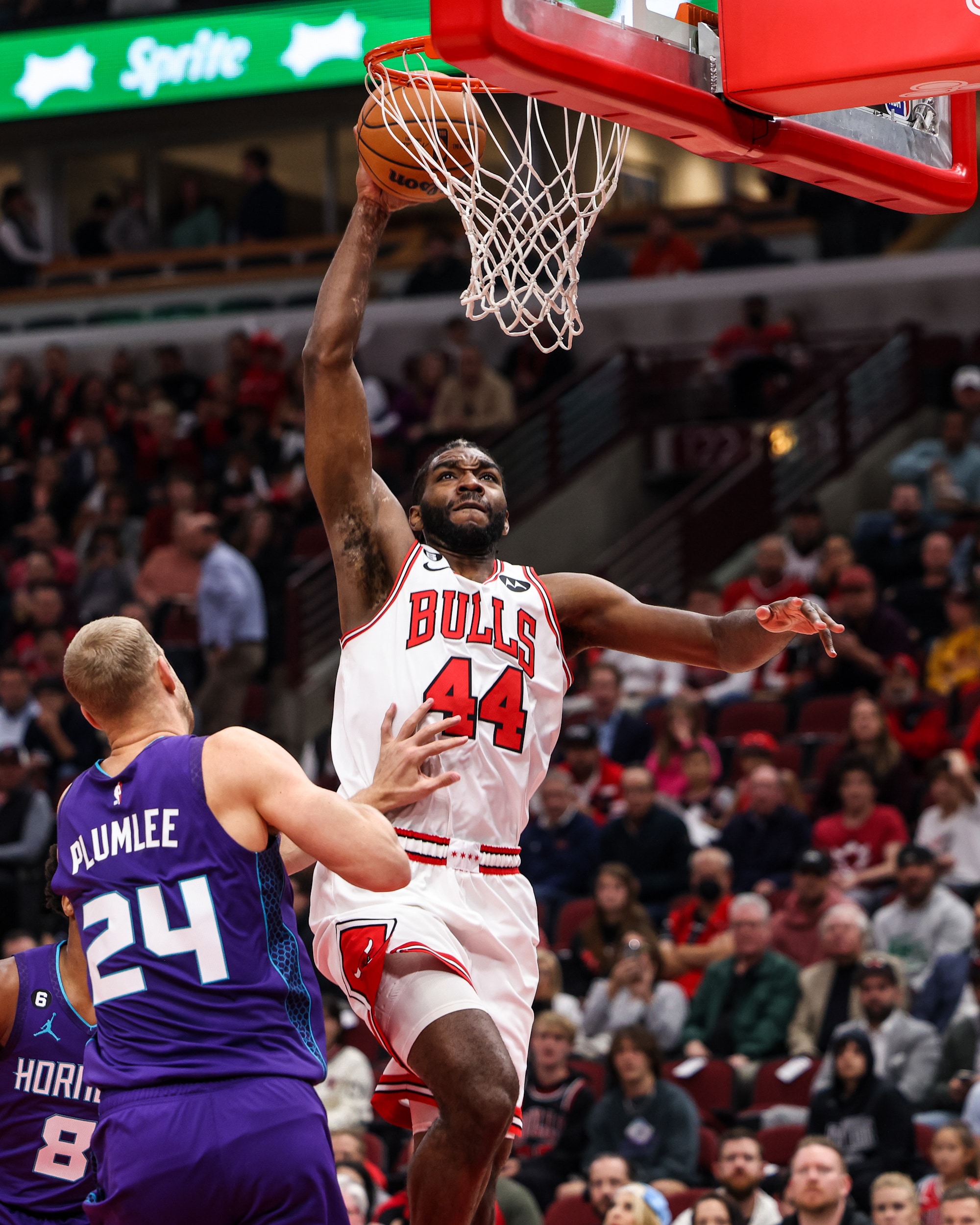 Patrick Williams, bench leads Bulls past Hornets 106-88 | Chicago Bulls