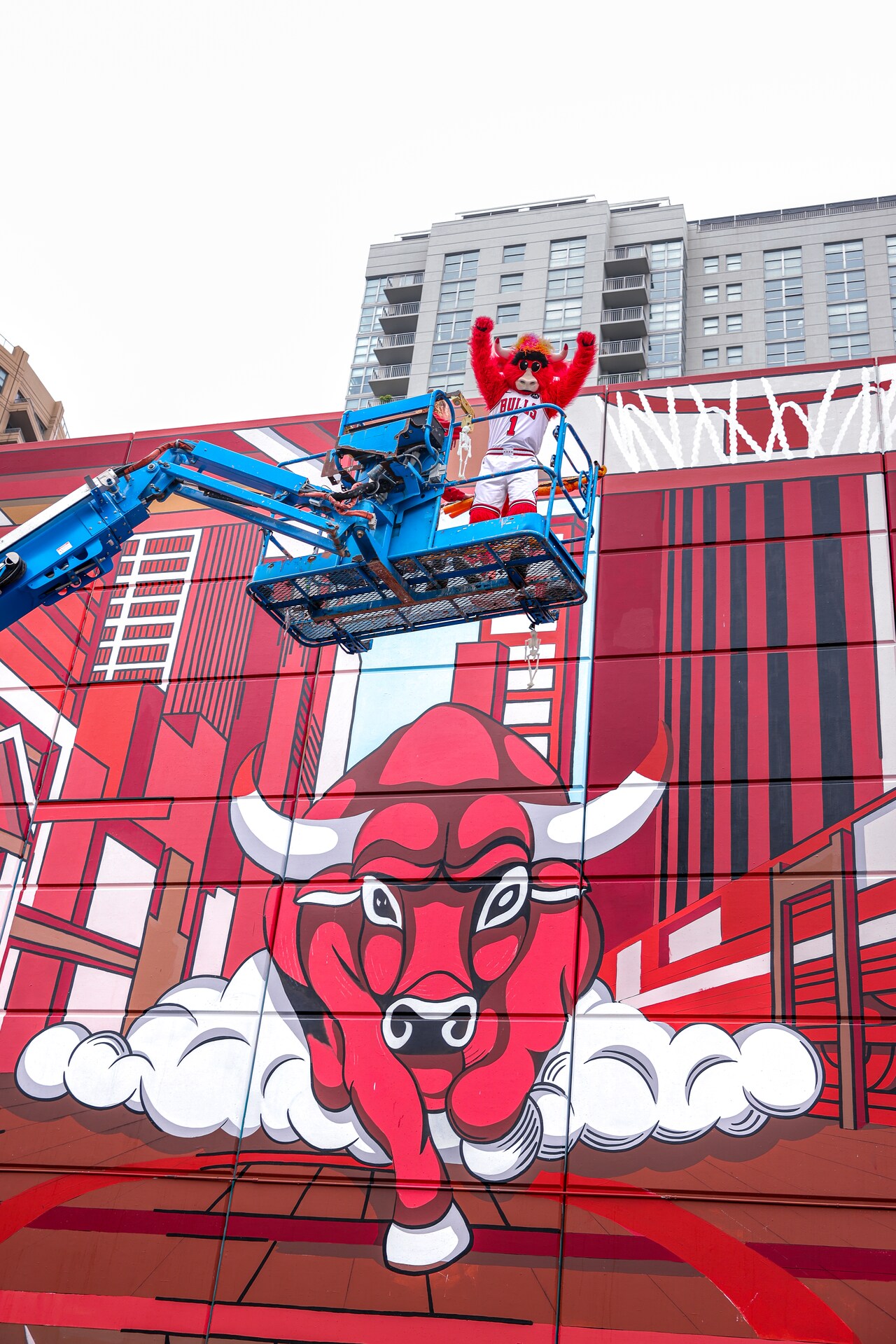 Benny The Bull Photos | Chicago Bulls
