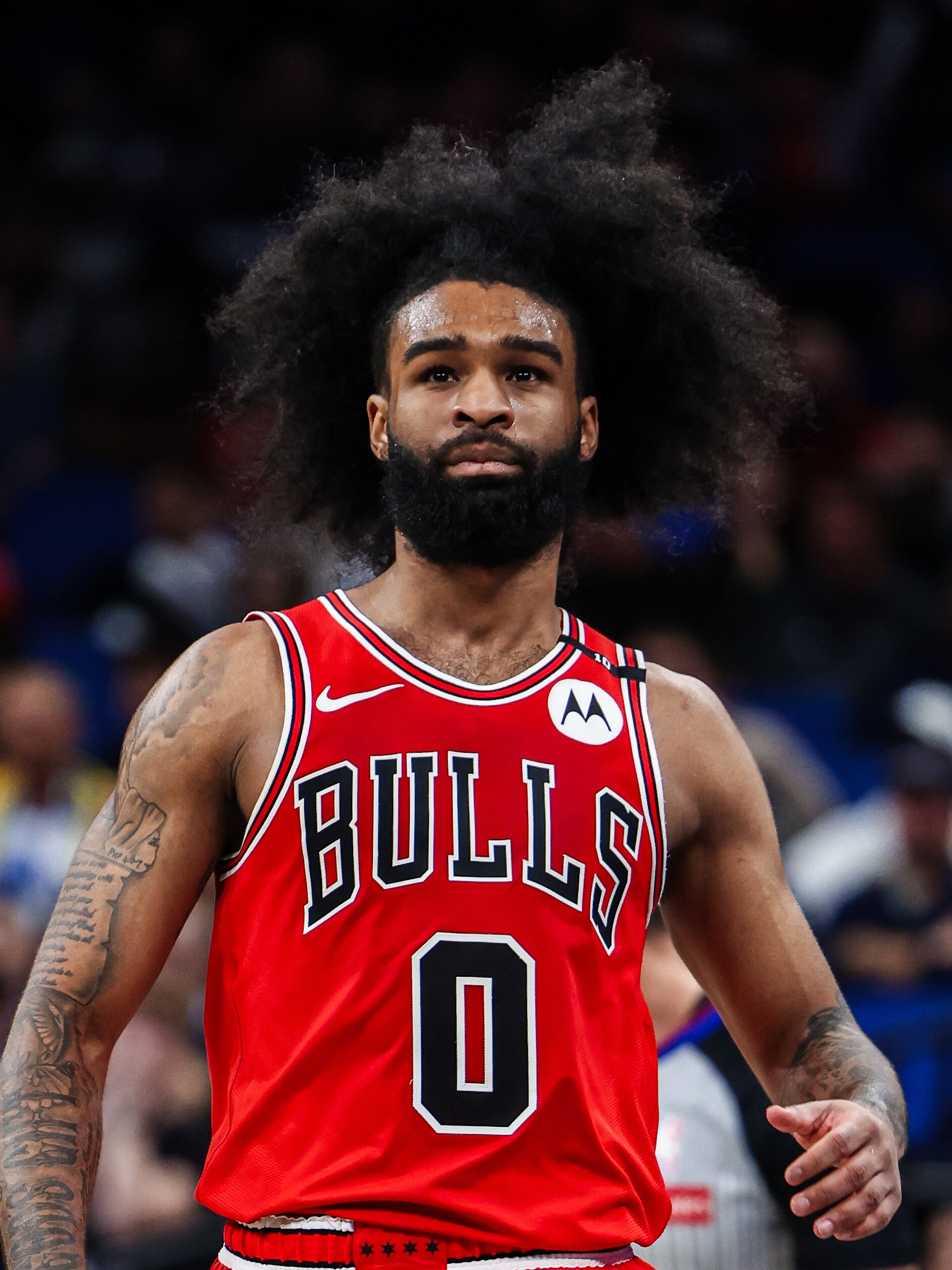 News | Chicago Bulls