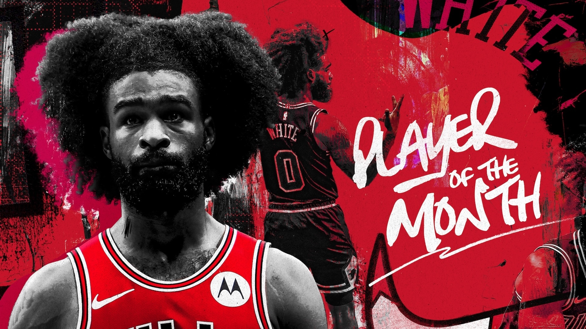 Coby White | Guard | Chicago Bulls | NBA.com