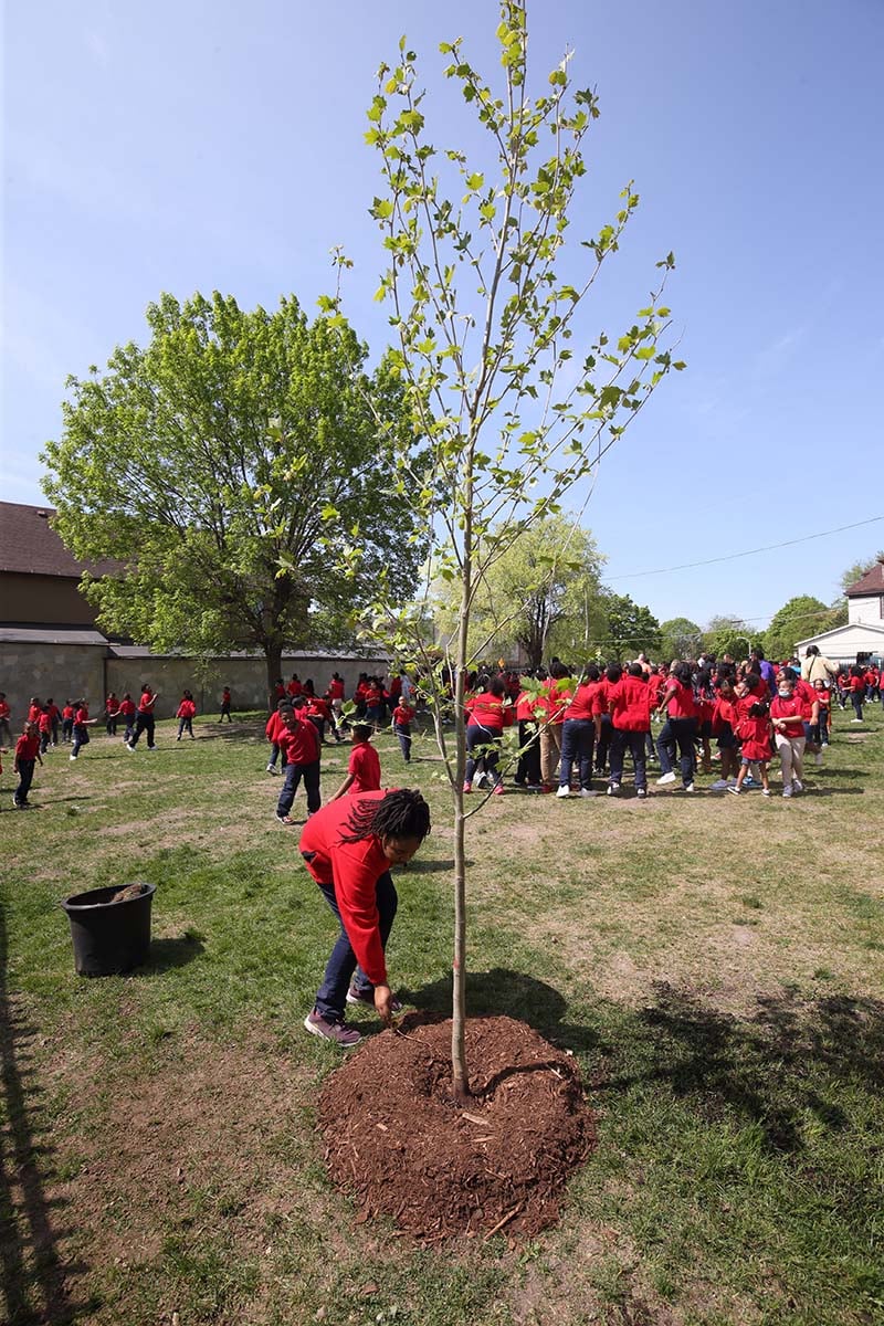 In Photos: ATC Trees For Threes - Milwaukee Prep | Milwaukee Bucks