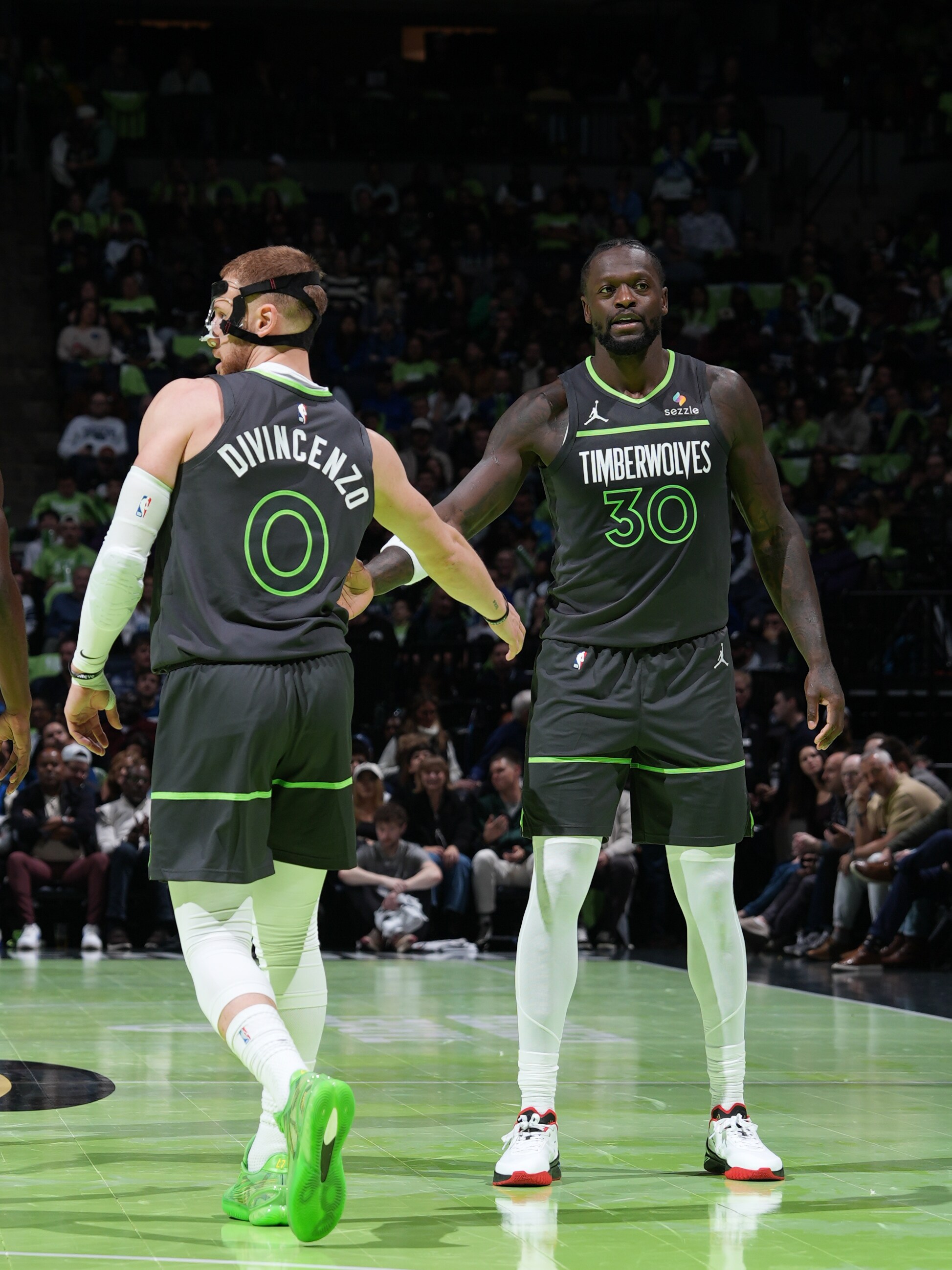 chase budinger timberwolves