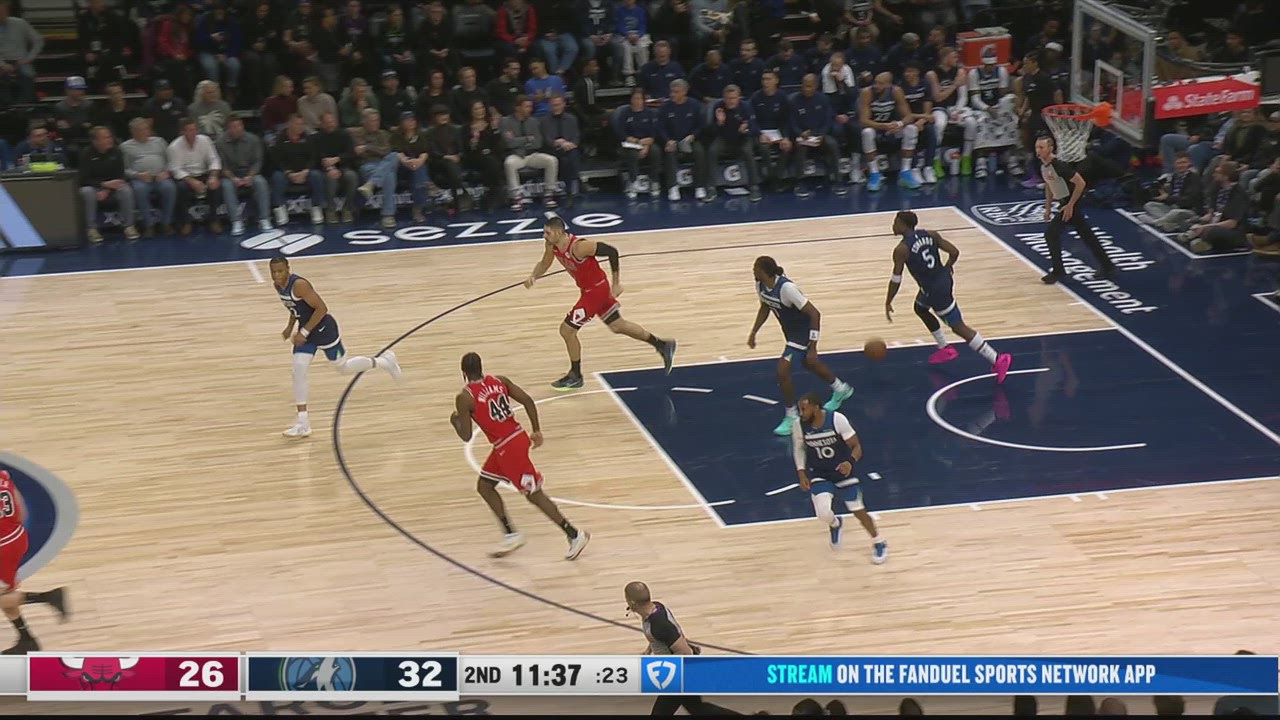 Ant Slam | Minnesota Timberwolves