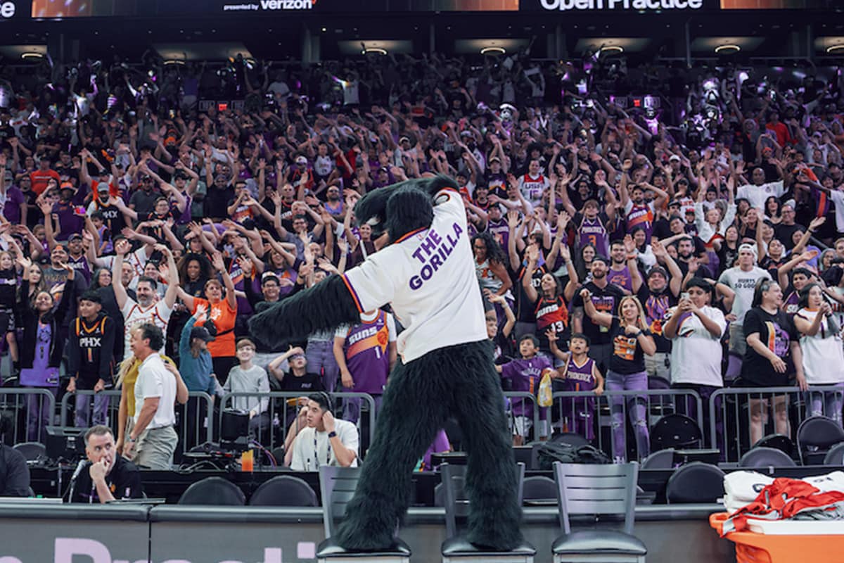 Valley Vault | Suns.com