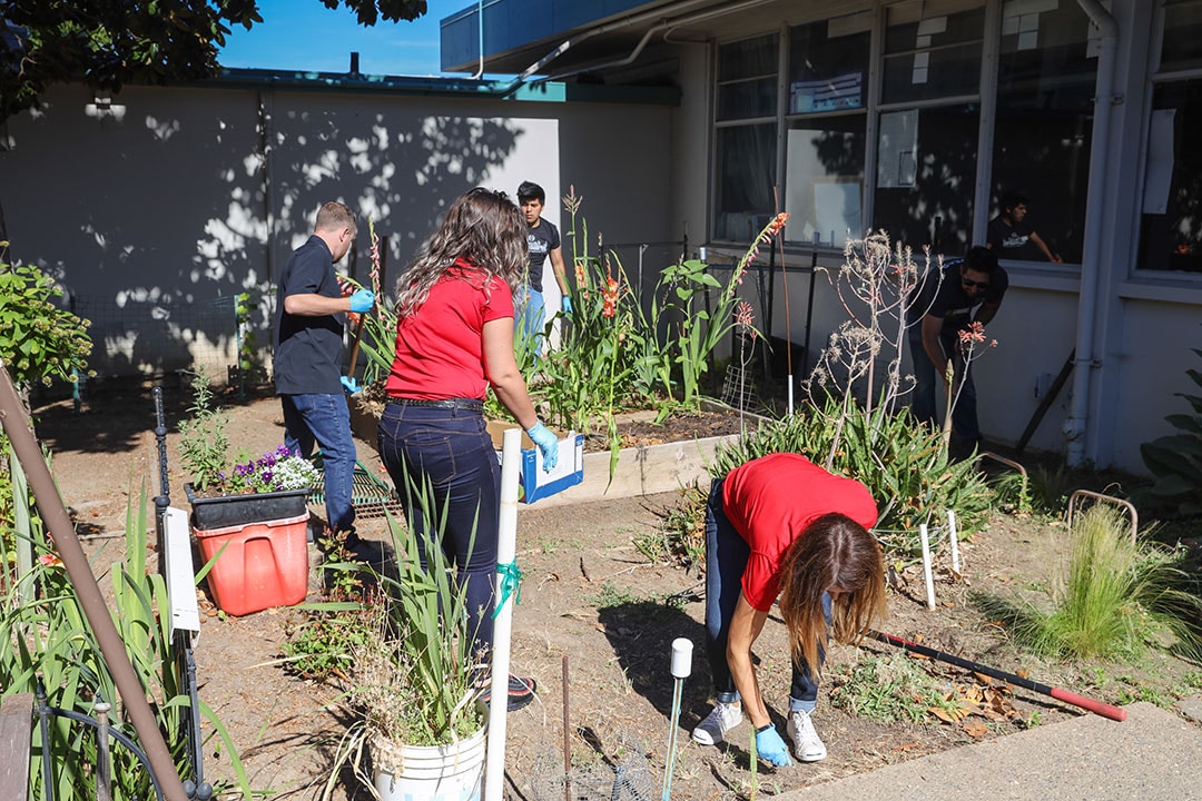 Raley's ROOT Gardens | Sacramento Kings