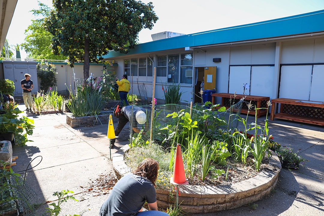 Raley's ROOT Gardens | Sacramento Kings