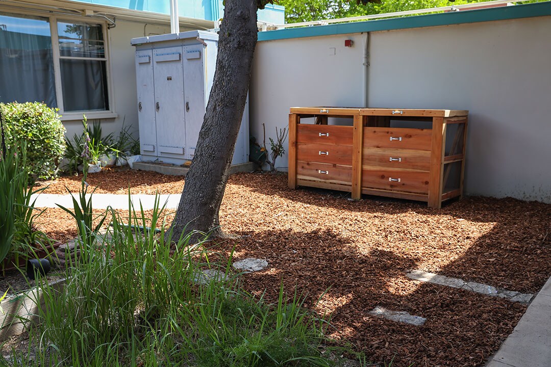 Raley's ROOT Gardens Photo Gallery | NBA.com