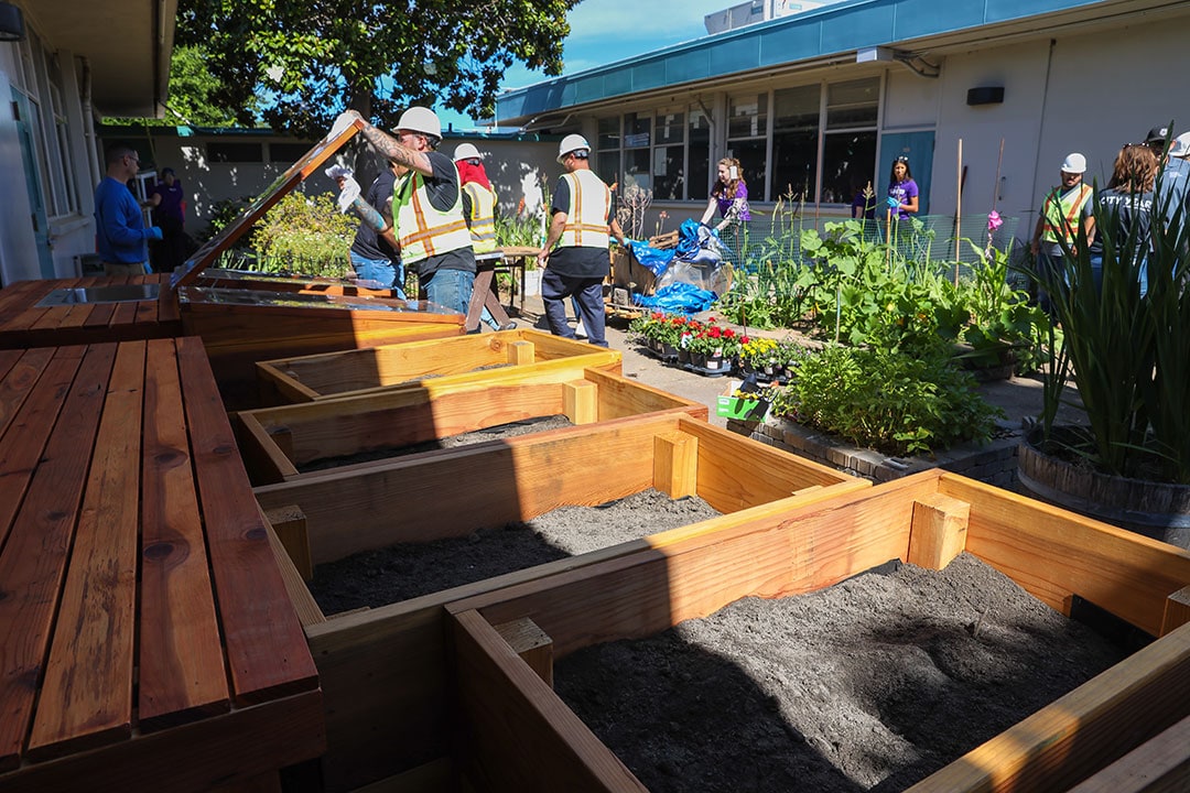 Raley's ROOT Gardens Photo Gallery | NBA.com
