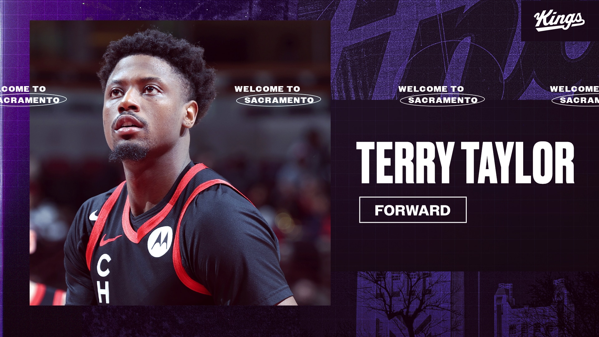 Kings Sign Terry Taylor | Sacramento Kings