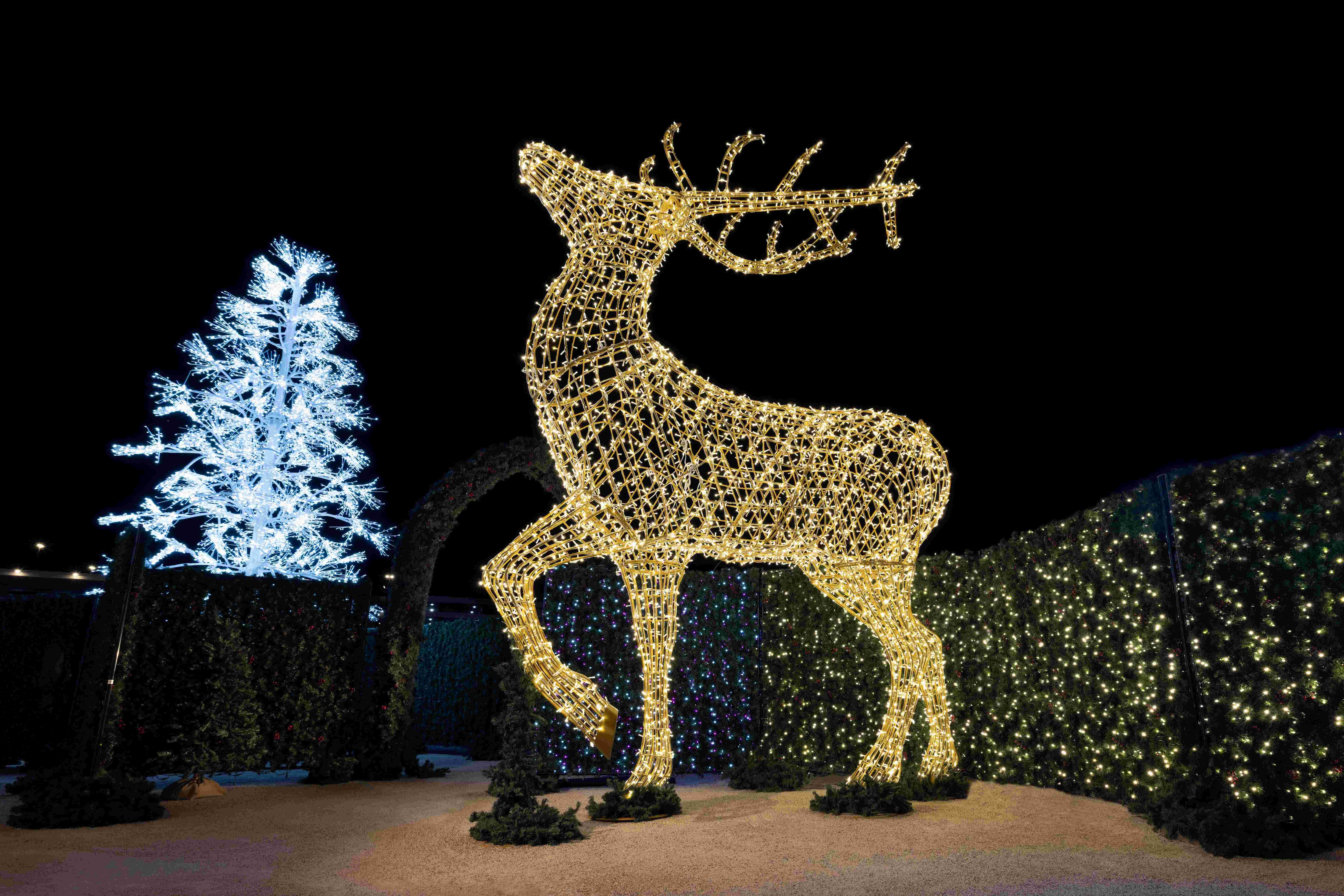 'Spurs and SAFC Night' Announced as Part of Coca-Cola Classic Christmas ...