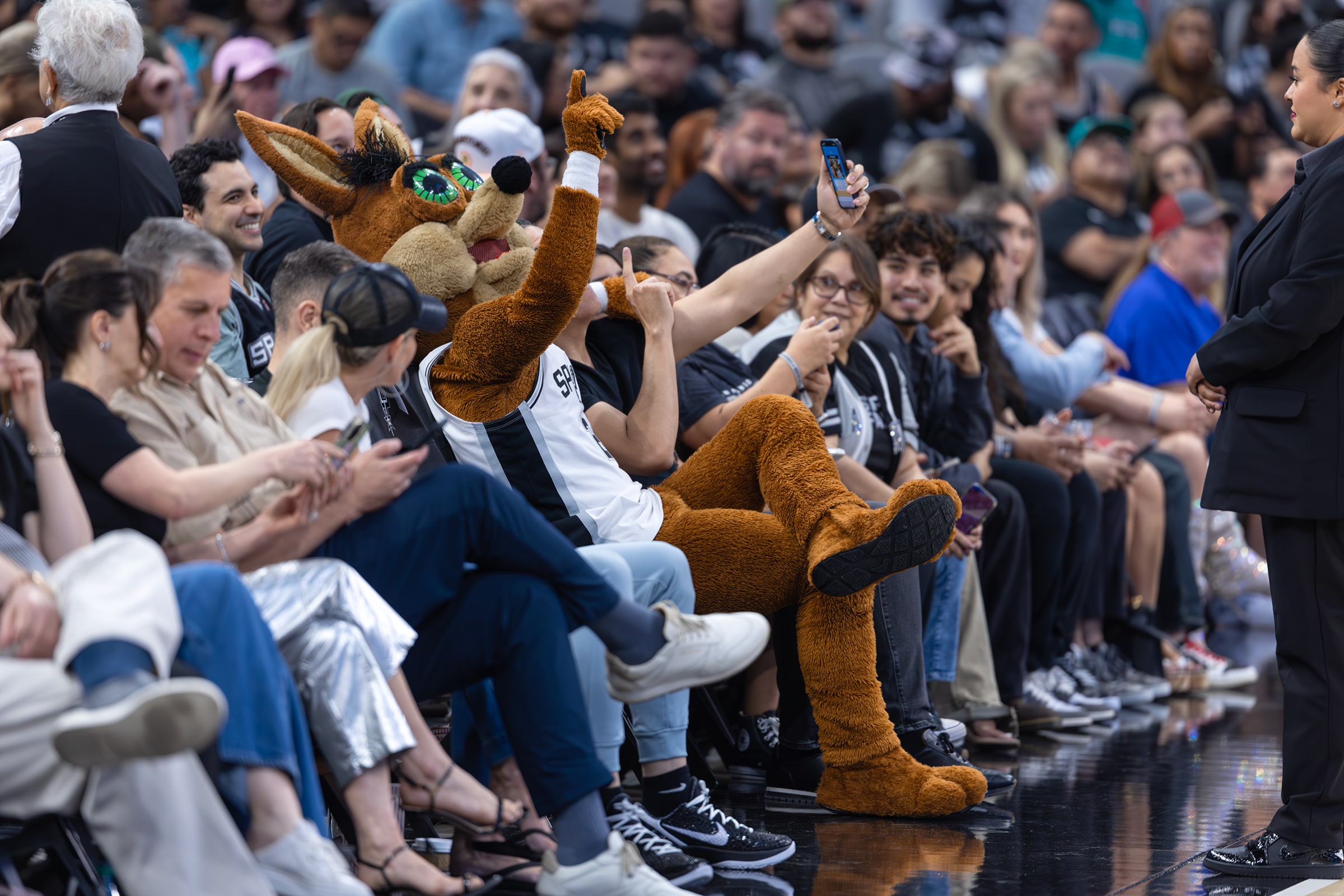 courtside club image