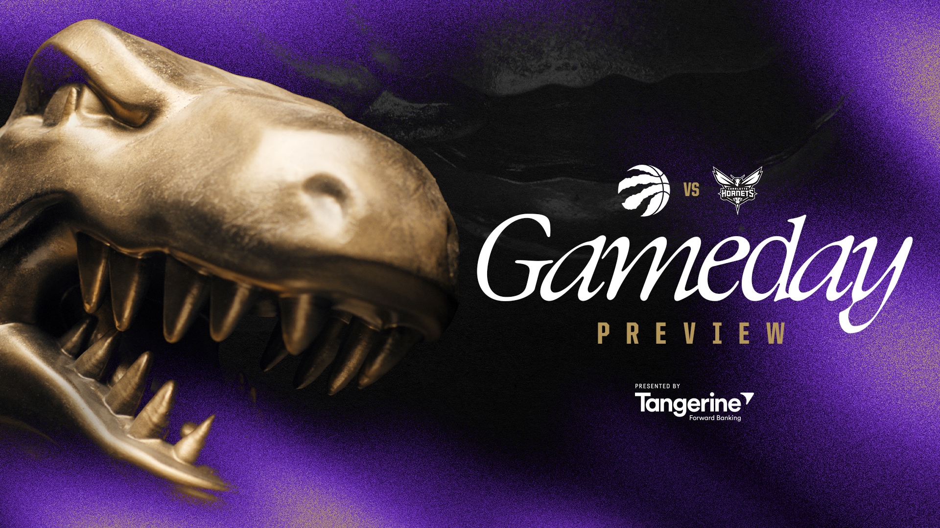 GAMEDAY PREVIEW: TORONTO RAPTORS VS. CHARLOTTE HORNETS MAR.28 | Toronto ...
