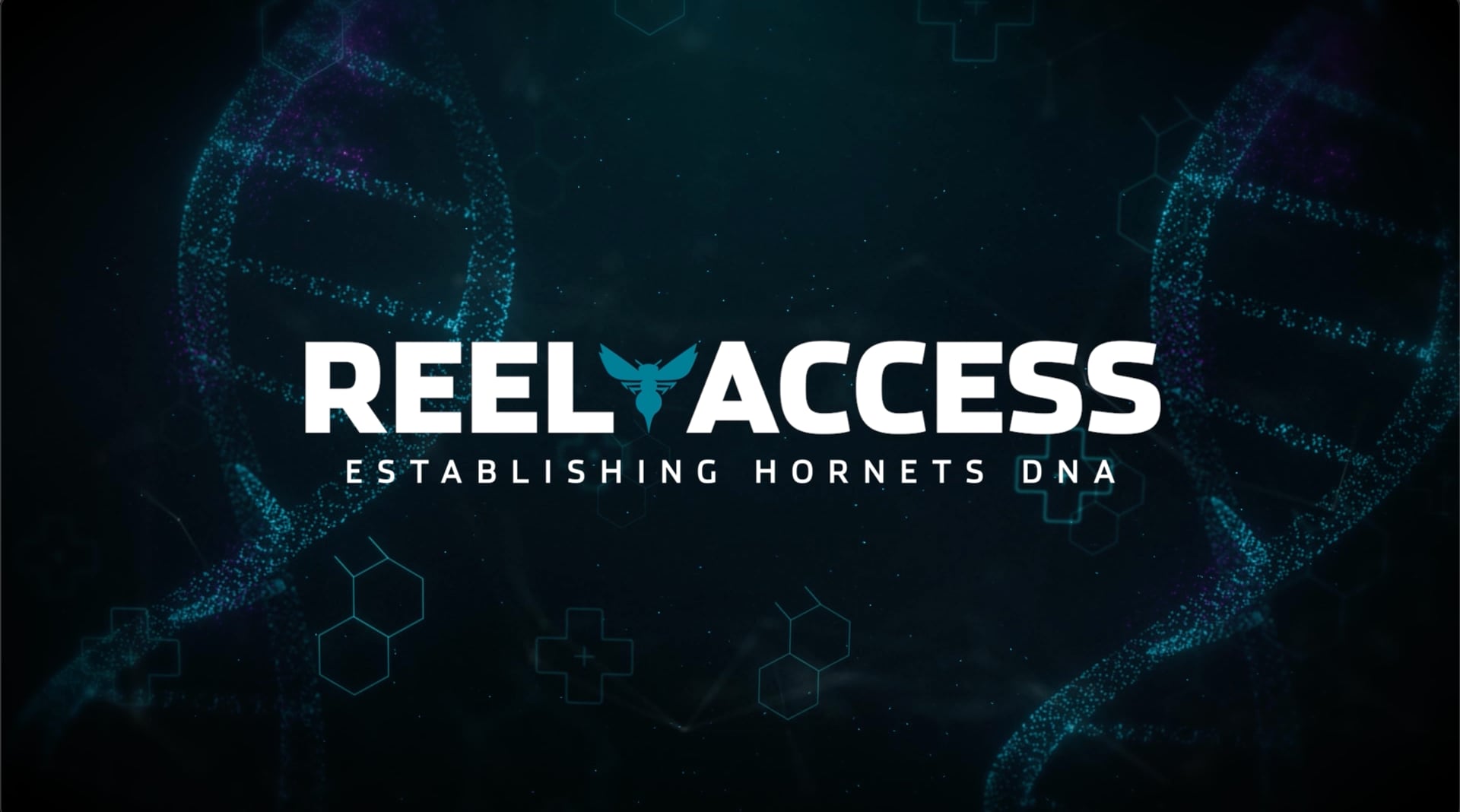 Hornets - The official site of the NBA for the latest NBA Scores, Stats ...