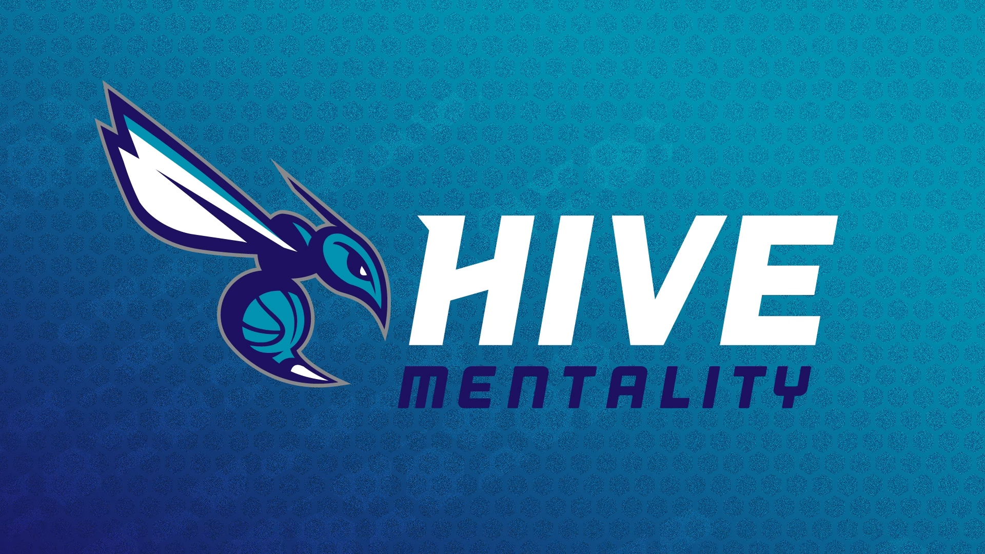 Hornets Unveil “Hive Mentality” As Theme For 2024-25 Season | Charlotte ...