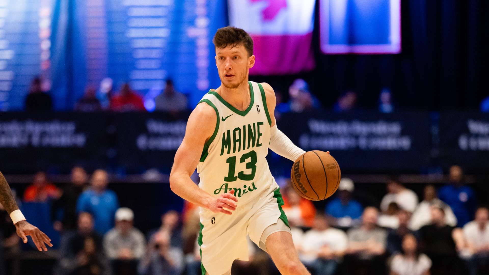 Drew Peterson Gallery | Charlotte Hornets