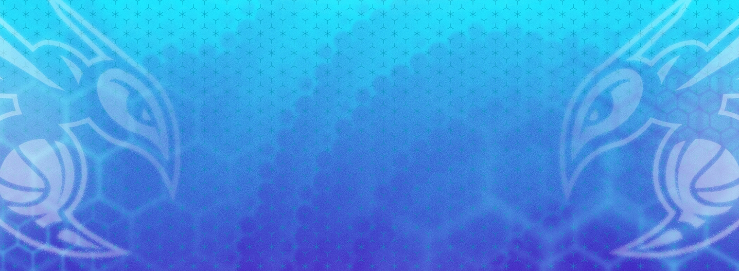 Charlotte Hornets vs Atlanta Hawks Nov 23, 2025 Game Summary